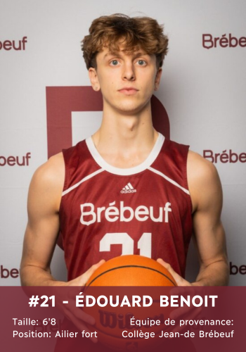 Basketball masculin - Division 1 - Collégial