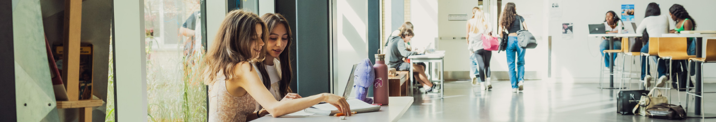 Cote de rendement au collégial (Cote R) - Collégial